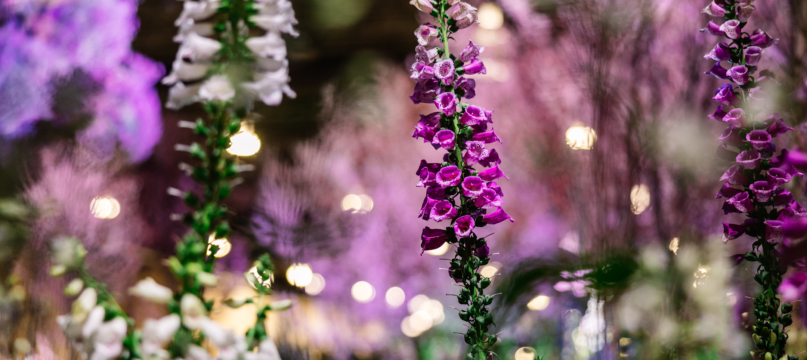 Tour Calendar | Sunrise Tours