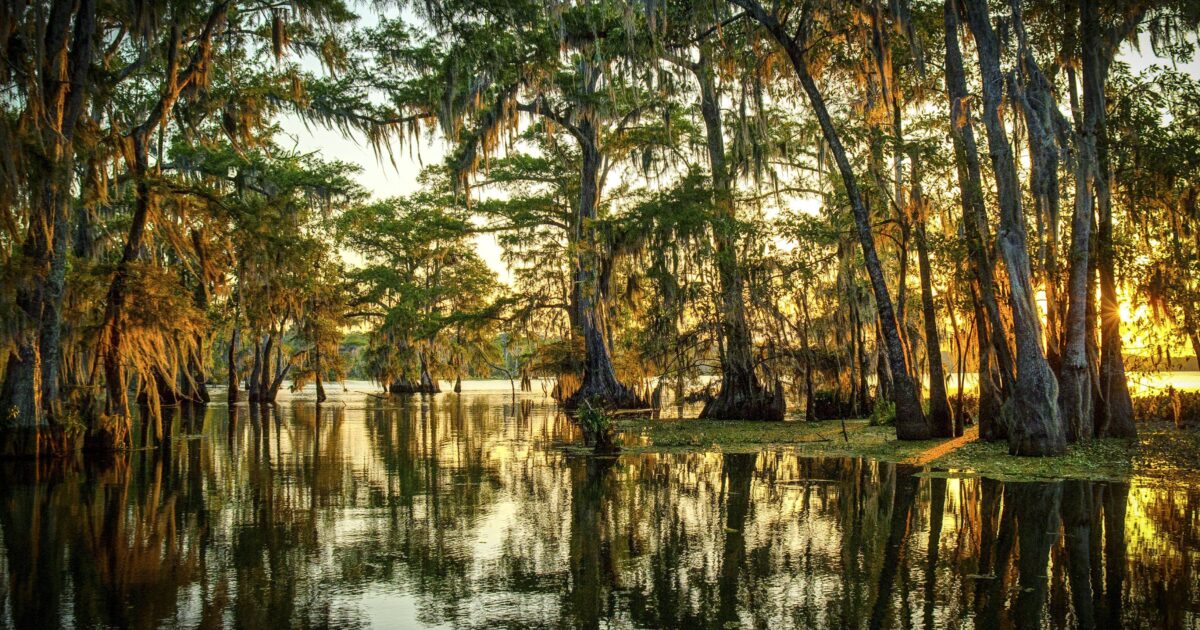 Creole & Cajun Country | Sunrise Tours