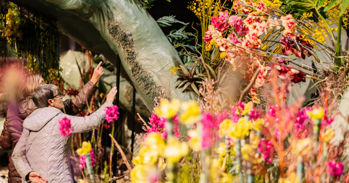 Philadelphia Flower Show | Sunrise Tours